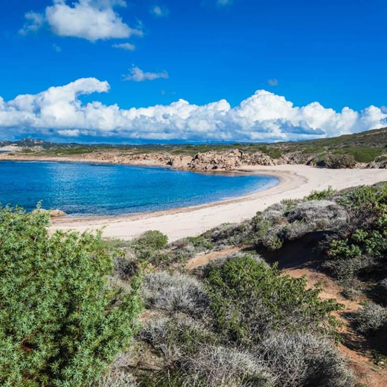 Strände rund um den Campingplatz Saragosa in Vignola mare